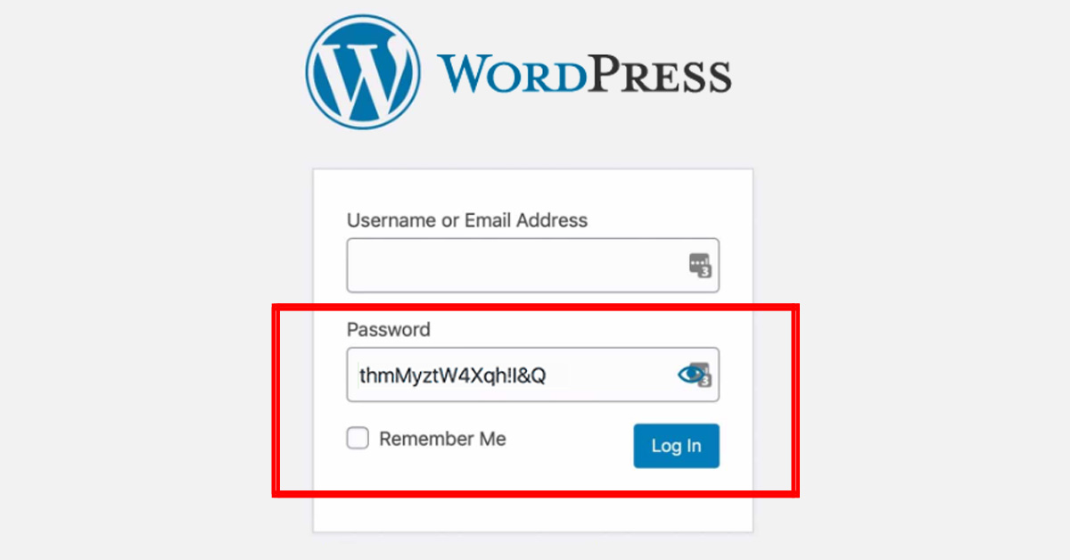 Bezpečnost webů na Wordpressu - 1. silné heslo je základ - DRS Ostrava